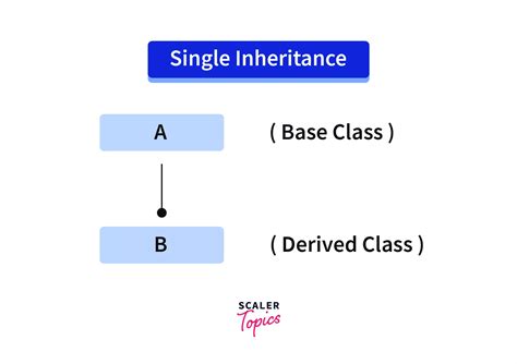 Inheritance In C Scaler Topics