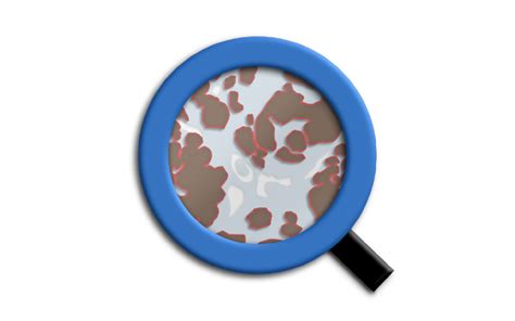 8 free open source software programs for pathology image analysis