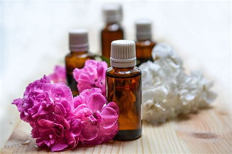 Discover The Best Oils For Massage And Relaxation