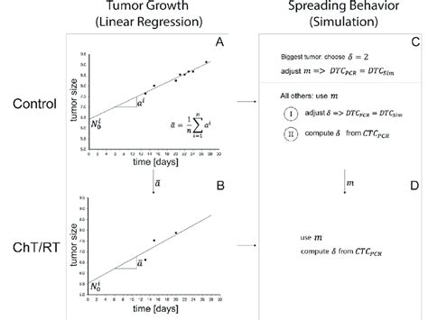 overview of the workflow used to analyze the experimental data panel a download scientific