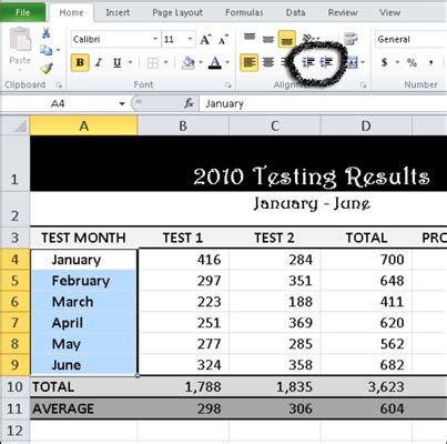 How To Indent Cell Data In Excel 2010 Dummies