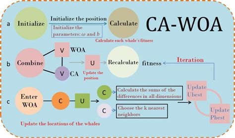 structure chart of the improved whale optimization algorithm download scientific diagram