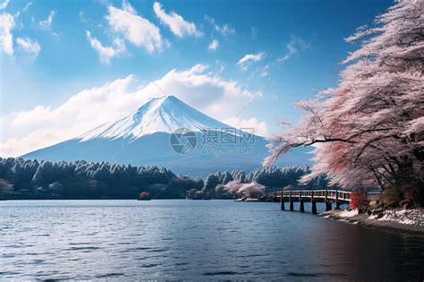富士山脚下美丽的樱花公园高清图片下载 正版图片600756852 摄图网