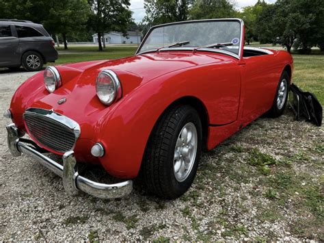 Paddys Garage Has A Bug Problem Welcome Home Ms Scarlet Paddys Garage