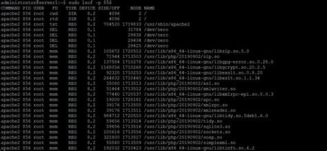 linux lsof command tutorial for beginners 15 examples