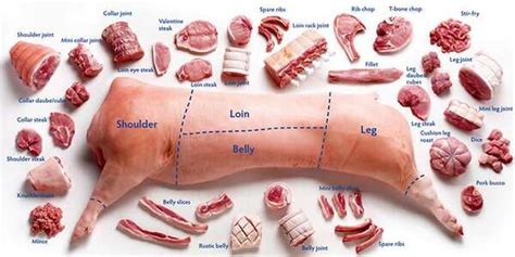 Pork Suitable Cooking Methods