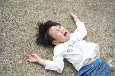 イヤイヤ期いつからいつまで？ダメな対応は？お助けグッズも紹介！ りっぺの子育て奮闘記