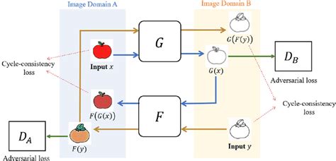 network architecture and data flow chart of cyclegan for image‐to‐image download scientific