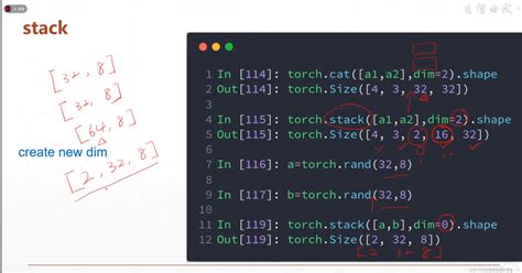 pytorch入门 tensor的维度 csdn博客