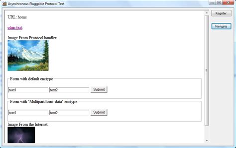 delphi xe wpf like gui stack overflow