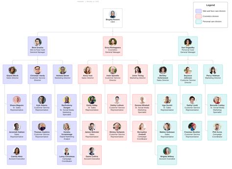 Types Of Organizational Structures Lucidchart Blog