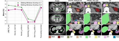 figure 1 from learnable weight initialization for volumetric medical image segmentation