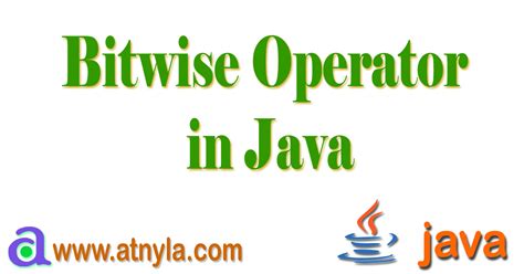 Bitwise Operator Examples In Java Programming Language Atnyla
