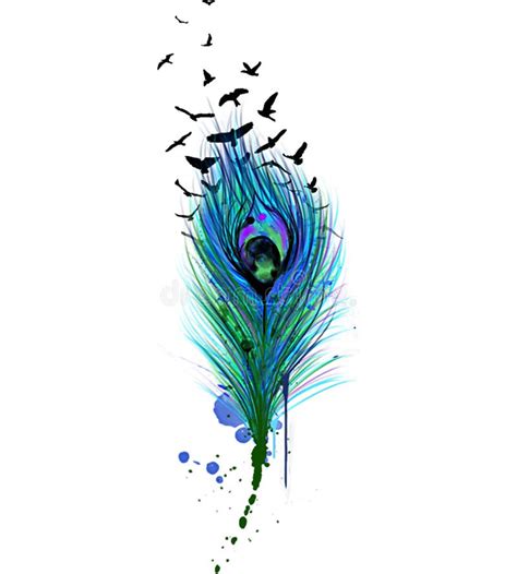 Peacock Feather Hand Drawn Illustrationdigital Art Stock Illustration Illustration Of Tattoo