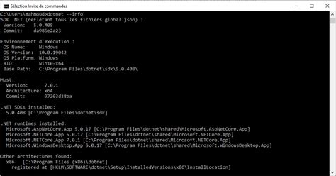 How To Fix Error 500 31 Failed To Load ASP NET Core Runtime