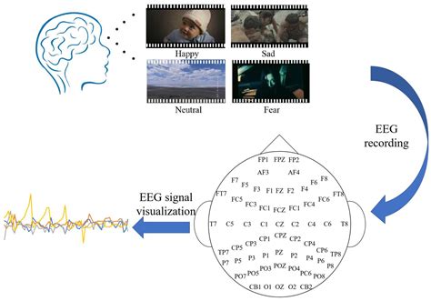 electronics free full text a model for eeg based emotion recognition cnn bi lstm with