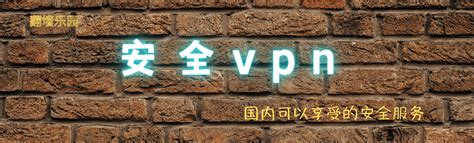 安全vpn 国内可以享受的安全服务 2025年 1 月