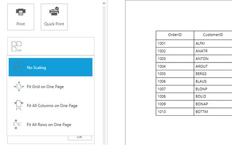printing in wpf datagrid control syncfusion