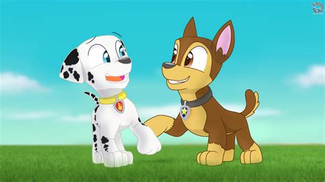 Marshall X Chase Paw Patrol Relationships Marshall Patrulla Canina Patrulla Canina Dibujos