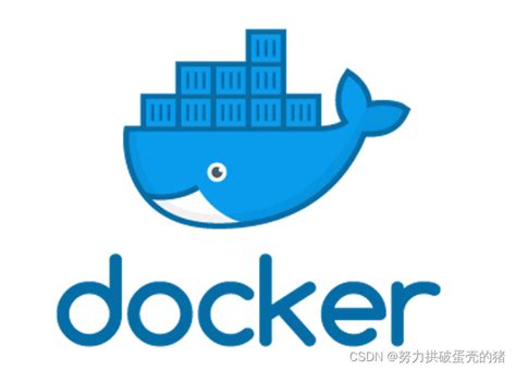 docker 基本管理与应用 docker 应用 csdn博客