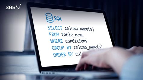 How To Work With The SQL GROUP BY Clause 365 Data Science