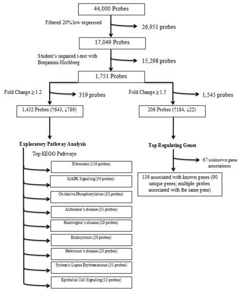 flow diagram of the steps used in the analysis of the microarray data download scientific