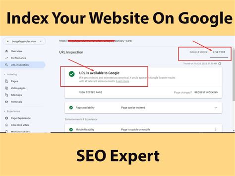 Fix Google Search Console Error And Issue Indexing Your Website On