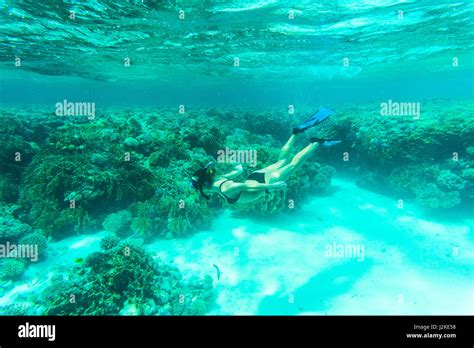 Girl Scuba Gear Hot Girl Hd Wallpaper Free Download Nude Photo Gallery