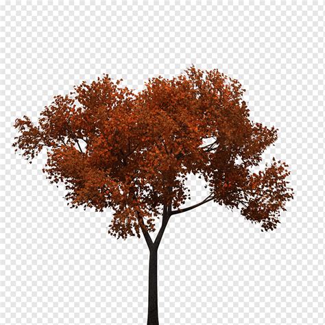 Tree Plant Hd Tree Clipart Png PNGWing