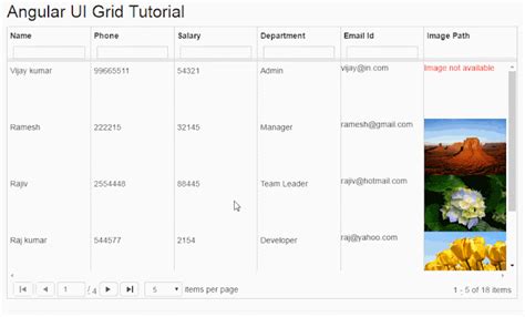 sorting filter and pagination with angular ui grid in mvc application aspmantra asp mvc