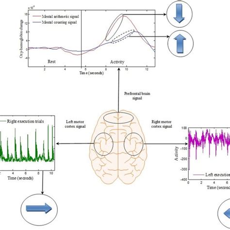 eeg data classification for left and right control commands a shows download scientific