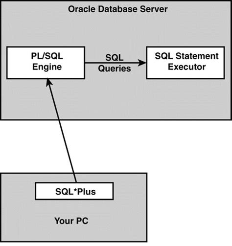 day 1 learning the basics of pl sql pl sql sql learning