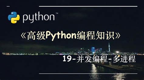 高级python编程知识 19 并发编程 多进程 youtube