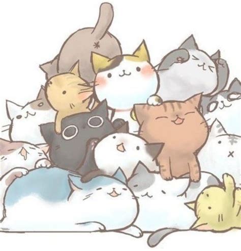 Pin On Hannys Board Kawaii Cat Anime Cat Cute Cats