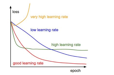 stochastic gradient descent vs gradient descent a head to head comparison sds club