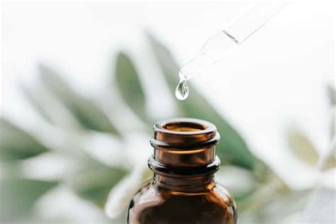 Aromatherapy And Massage Therapists Guide To Using Essential Oils