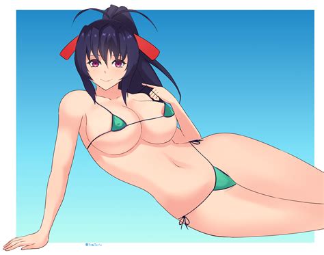 Rule 34 Akeno Himejima Big Breasts Bikini Black Hair High School Dxd Huge Breasts Looking At