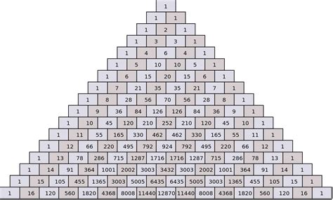 pascals triangle pascals triangle pattern programs in c print patterns daftsex hd