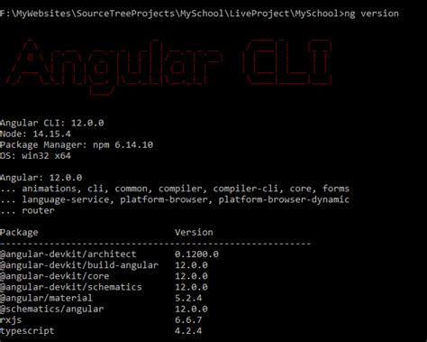 How To Upgrade Angular Application To Angular 12 Or Latest Version