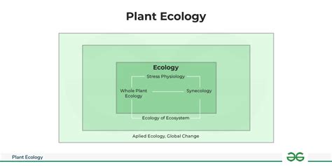 Plant Ecology Definition Types Examples And Importance GeeksforGeeks