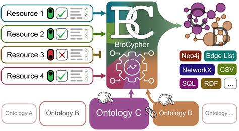 tutorial handling ontologies — biocypher
