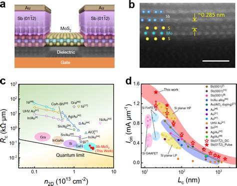 物理学院王金兰教授马亮教授团队与合作者成果再登Nature