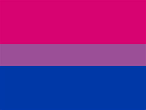 12 Different Pride Flags And Their Meanings Hiswai