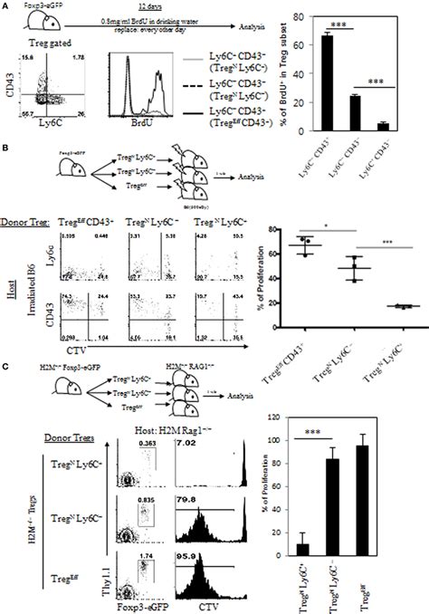 Frontiers Phenotypic And Functional Changes Of Peripheral Ly6C T