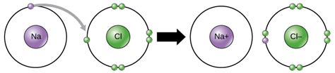Ionic Bonds Biology For Majors I