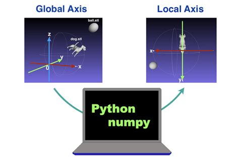 coordinate system global and local axes ｜医療のためのpythonプログラミング