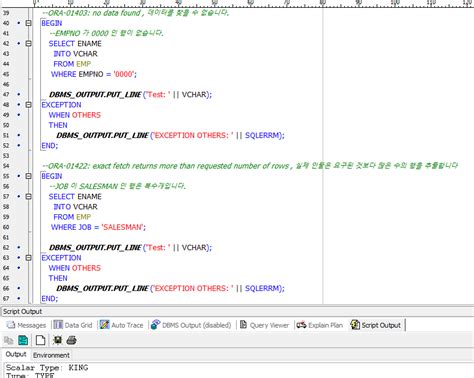 oracle pl sql select into 사용 시 주의사항 ora 01403 ora 01422 ora 00913 ora 00947