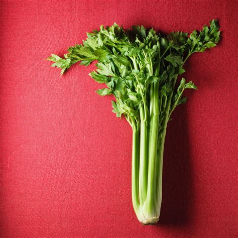 28 Sex Drive Boosting Foods Aphrodisiac Foods To Increase Sex Drive