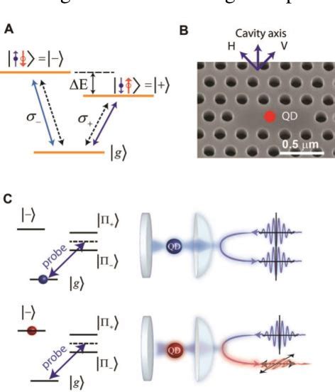figure 1 from a qubit photon controlled not gate using a quantum dot strongly coupled to a