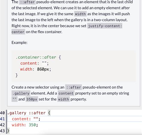 Learn CSS Flexbox By Building A Photo Gallery Step 20 HTML CSS